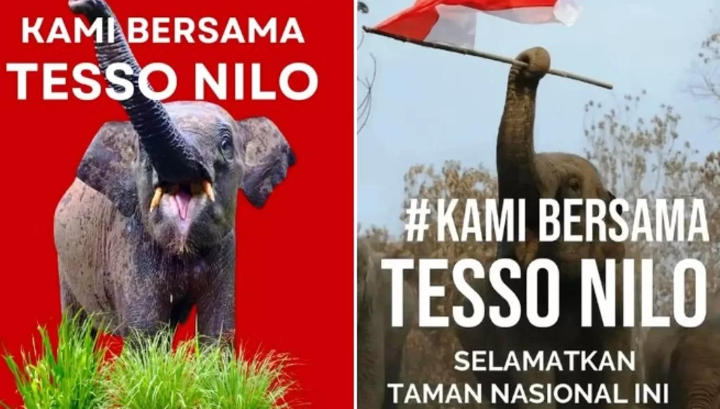 Taman Nasional Tesso Nilo Ditertibkan Kementerian Kehutanan